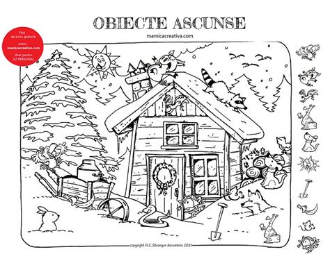 Obiecte Ascunse