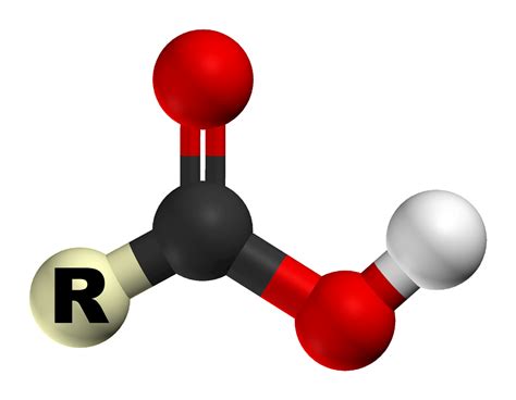 Carboxyl Group Definition And Function Science Trends