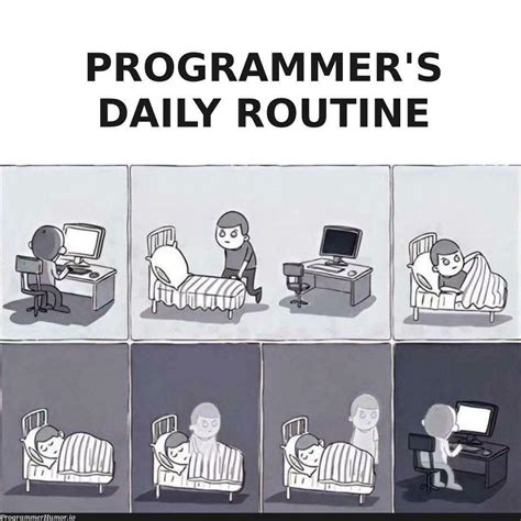 ProgrammersDailyRoutine ProgrammerHumor Io