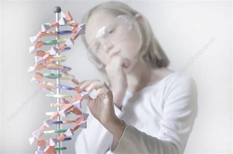 Girl Examining Molecular Model Stock Image F005 8285 Science Photo Library