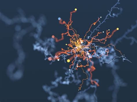 Deep Learning Vs Traditional Computer Vision A Comparison Roboticsbiz