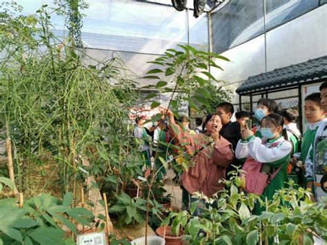 国医小镇 中医药文化研学活动 广东省中草药产业协会