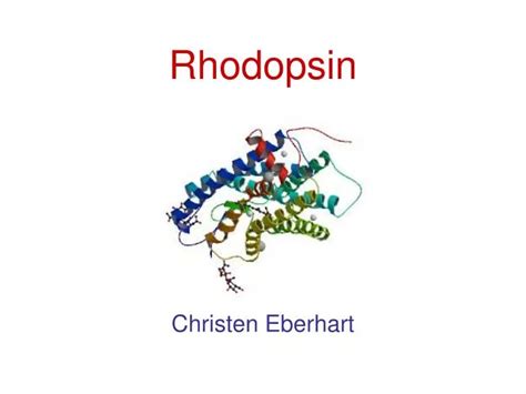 Ppt Rhodopsin Powerpoint Presentation Free Download Id 2751030