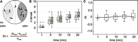 Binary Choices Behavioral Assay A Schematic Diagram Of The