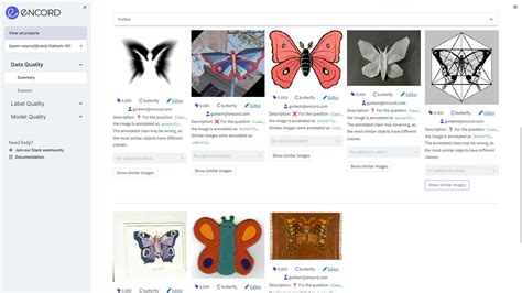 Object Classification With The Caltech 101 Dataset Encord