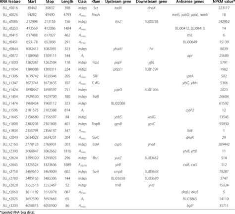 Selected Non Coding Rnas Ncrnas Download Table