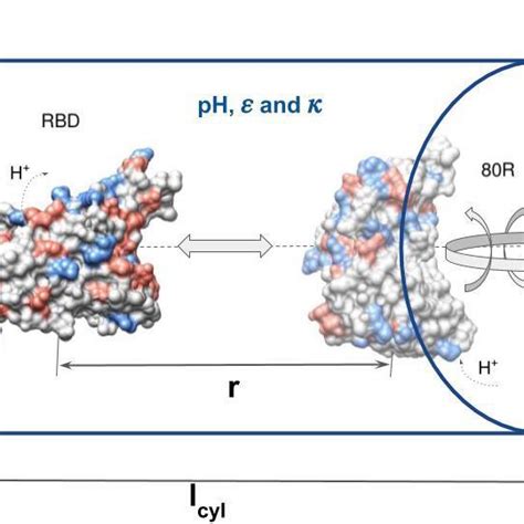 A Sketch Of The Simulation Model System For The Constant Ph Monte Carlo