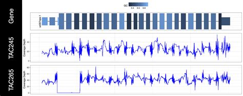 Introduction To Gene Coverage Plots Griffith Lab