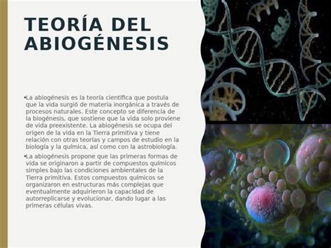 Origen De La Vida Teoría De La Abiogénesis Pdf