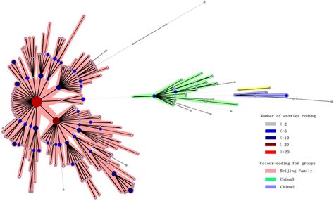 Minimum Spanning Tree Showing The Clustering By Vntr15 China Of 467 Download Scientific Diagram