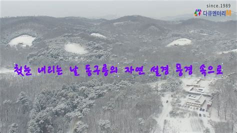첫눈 내리는 날 동구릉의 자연 설경 풍경 속으로 4k Youtube