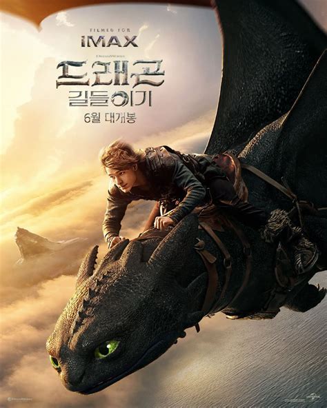영화 드래곤 길들이기 포스터 인스티즈 Instiz 이슈 카테고리