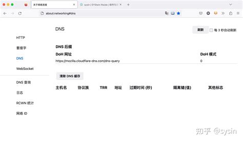 如何清除浏览器的 Dns 缓存 Chrome Firefox Safari 知乎