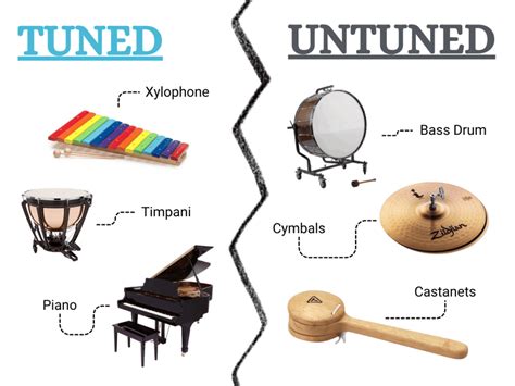The Complete List Of Percussion Instruments Teds List