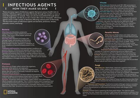 Examples Of Pathogens And Their Impact On Health