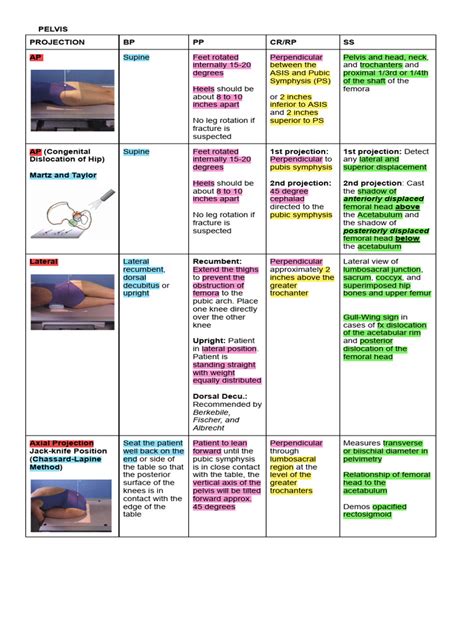 Pelvis Summary Pdf Hip Pelvis