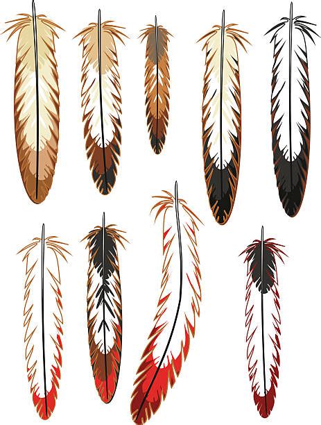 Eagle Feather Illustrations Royalty Free Vector Graphics And Clip Art