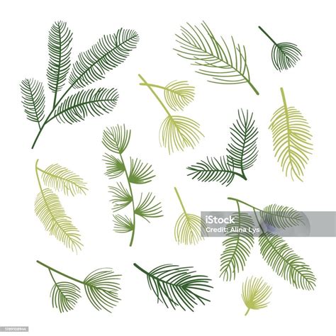 크리스마스 소나무 지점 아이콘 벡터 일러스트 레이 션입니다 고립 된 배경에 상록수 새해 나무 기호 개념입니다 가문비나무에 대한 스톡 벡터 아트 및 기타 이미지 Istock