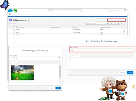 Salesforce Whatsapp Business Api Integration