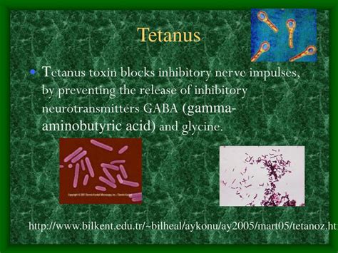Ppt Tetanus Powerpoint Presentation Free Download Id 3653569