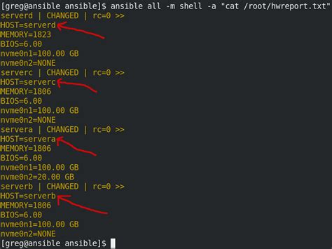 Ansible生成硬件报告 Linux大魔王 博客园