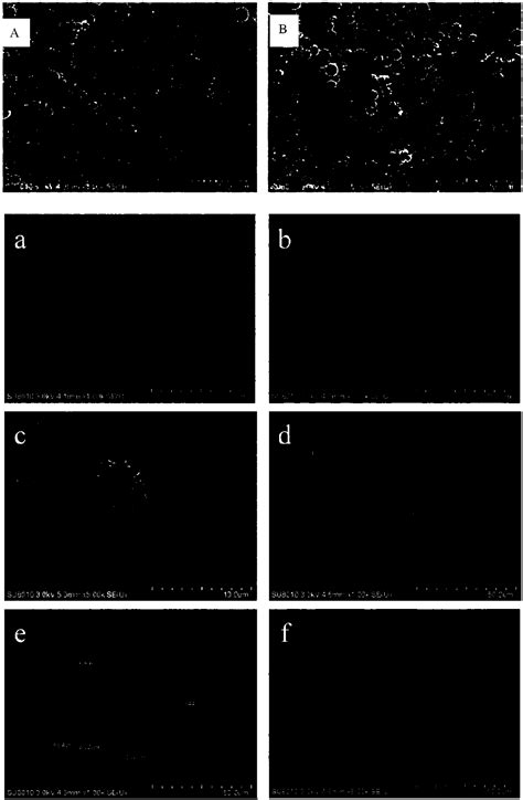 Polyacrylamidemicrosphere Composite Gel And Preparation Method Thereof Eureka Patsnap