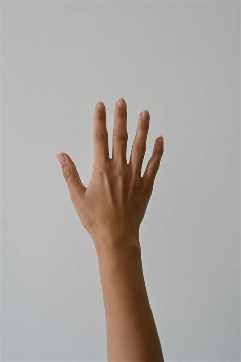 간단한 구성 고립된 관념적인 깨끗한 꾸밈없는 뉴트럴 톤 단순함 모델 손 미니멀한 미묘한 조명 부드러운 그림자 부드러운 조명 부드러운 피부 손가락을