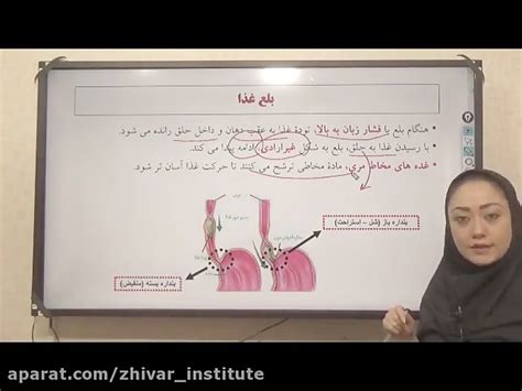 زیست شناسی دهم تجربی