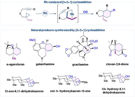 北京大学科学研究部