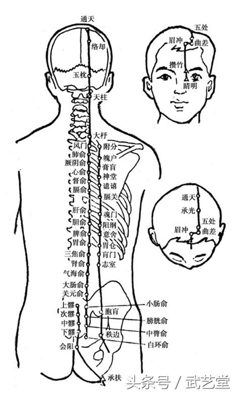 十二经络走向图及穴位养生调理方法 知乎