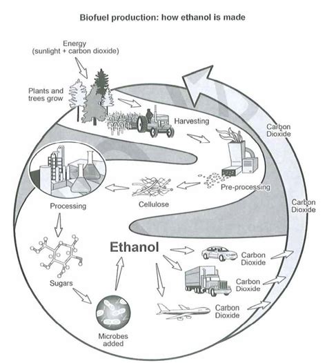 Ielts Cambridge 19 Essay Biofuel Production Ethanol How To Do Ielts