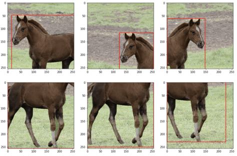 Albumentations概述：用于图像增强的开源库 知乎