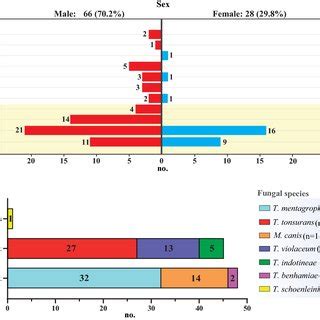 Characteristics Of Patients With A Diagnosis Of Tinea Capitis Including Download Scientific