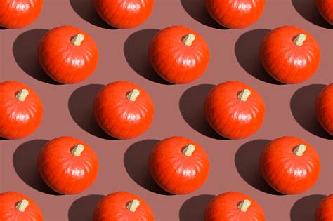 베이지 색 배경에 호박 매끄러운 패턴 추수 감사절 가을 수확 공간을 복사합니다 최소한의 개념 10월에 대한 스톡 사진 및 기타