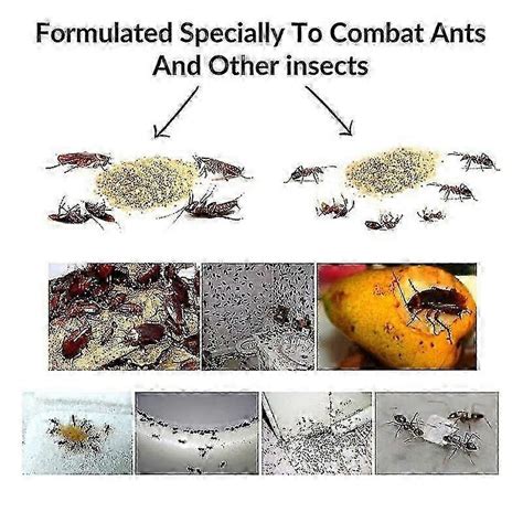 50pack Cockroach Killing Bait Insect Eradication Powder Antcockroach Attractant Insecticide