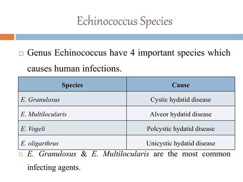 Echinococcus Granulosus Pptx Infectious Diseases Diseases And Conditions