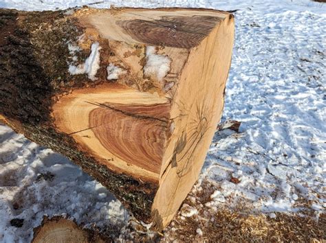 Log Prep Tip Of The Week Dealing With Butt Flare Mill Market