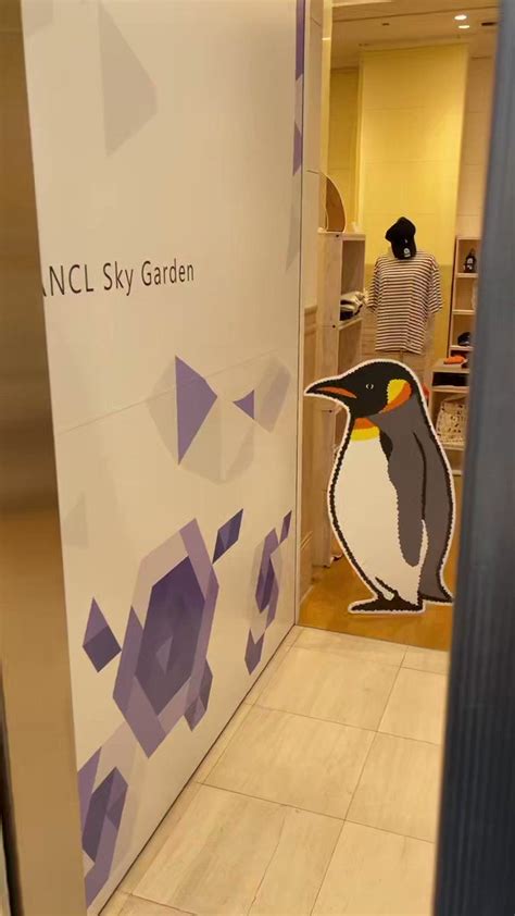 アドベンチャーワールド 公式 on Twitter ファンケル銀座スクエアアドベンチャーワールド ファンケル銀座スクエアにてPOP UP STOREが12 2513 0019