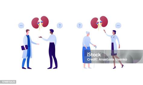 신장학 질병 치료 및 건강 관리 검진 개념 벡터 플랫 의료 인 일러스트 인간의 신장 기호 남성과 여성 의사와 환자 캐릭터 건강 관리를 위한 디자인 콩팥 내부 기관에 대한