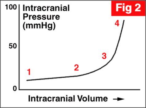 Neuropathophysiology Flashcards Quizlet
