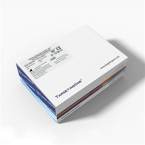 Human Adenovirus Nucleic Acid Real Time Pcr Detection Kit