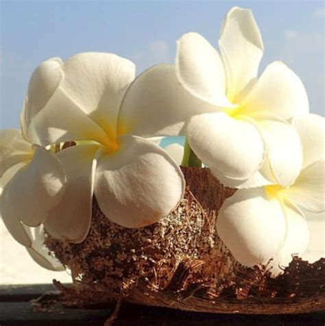 Ако сте Овен Лъв или Стрелец неделя ще е благоприятен ден Рак Скорпион или Риби постигане на