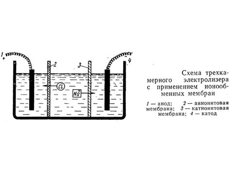 Мембранные методы - презентация, доклад, проект скачать