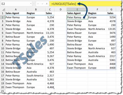 Excel Remove Duplicates Xelplus Leila Gharani