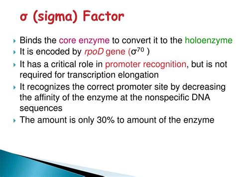 Ppt E Coli Rna Polymerase Powerpoint Presentation Free Download Id 6147560