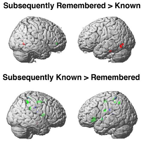 The Subsequent Memory Paradigm Download Scientific Diagram