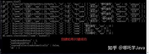 自从学习了mongodb高可用,慢慢的喜欢上了它,之前确实冷落了 知乎 自从学习了mongodb高可用,慢慢的喜欢上了它,之前确实冷落了 知乎