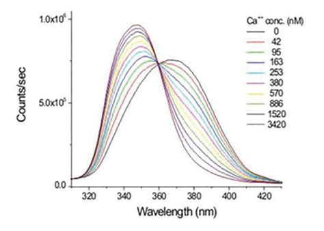 A Guide To Ratiometric Fluorescence