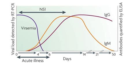 Dengue Ns1 Antigen For Early Diagnosis Of Dengue Fever Vinmec