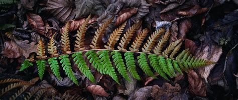 What Ive Learned Learning Terraform Part 7 Dev Community